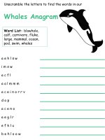 Whale Activities for Kids