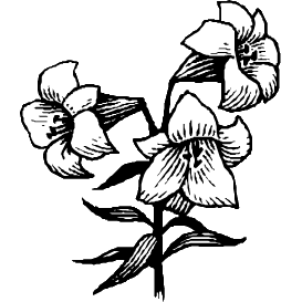 KIDZONE - Math Worksheet ADDITION