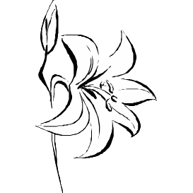 KIDZONE - Math Worksheet ADDITION